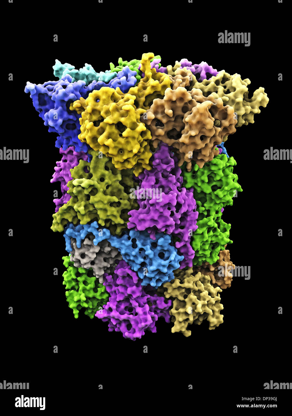Biologische Hefe Stockfotos und -bilder Kaufen - Alamy