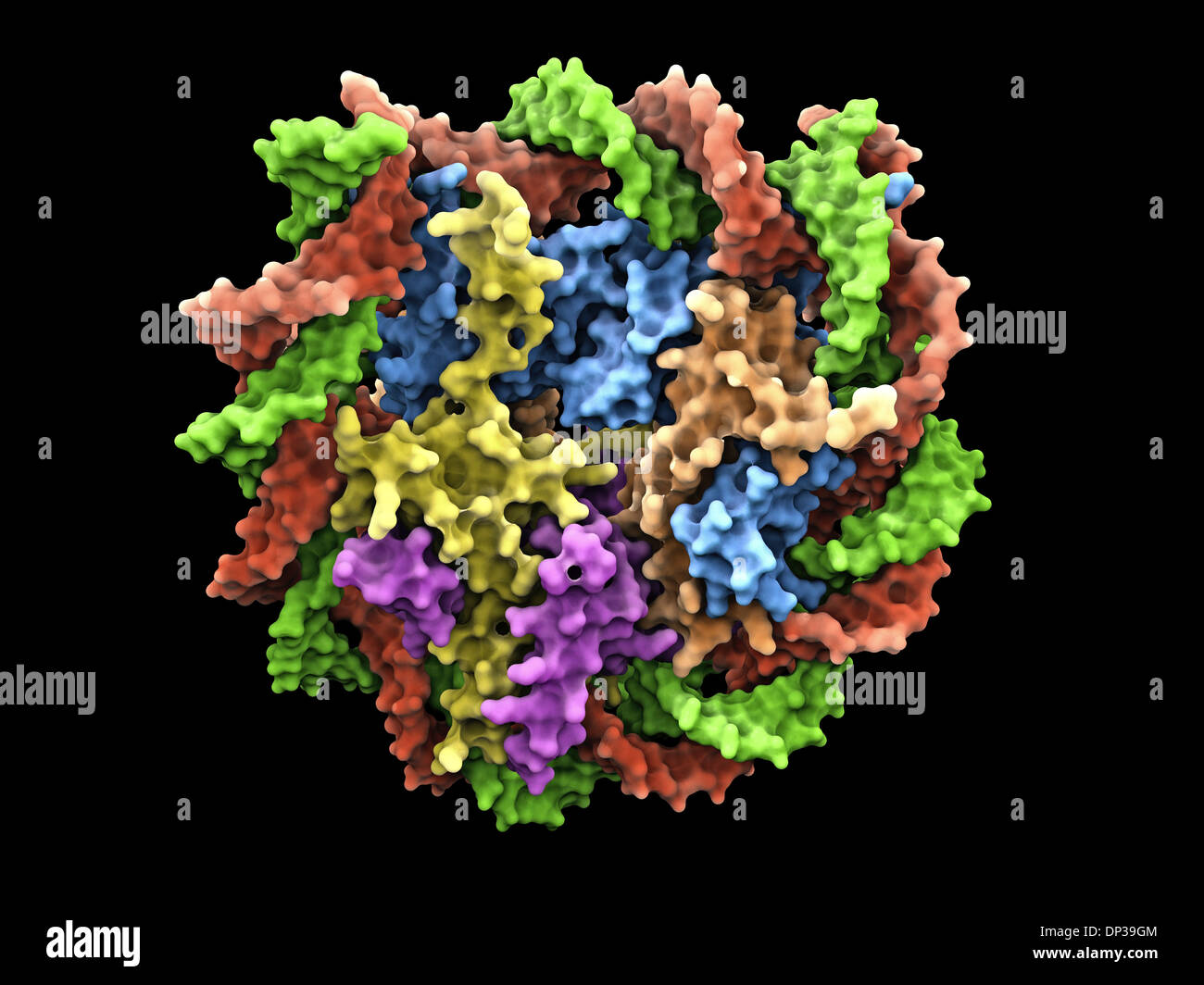 Dna verpackung -Fotos und -Bildmaterial in hoher Auflösung – Alamy