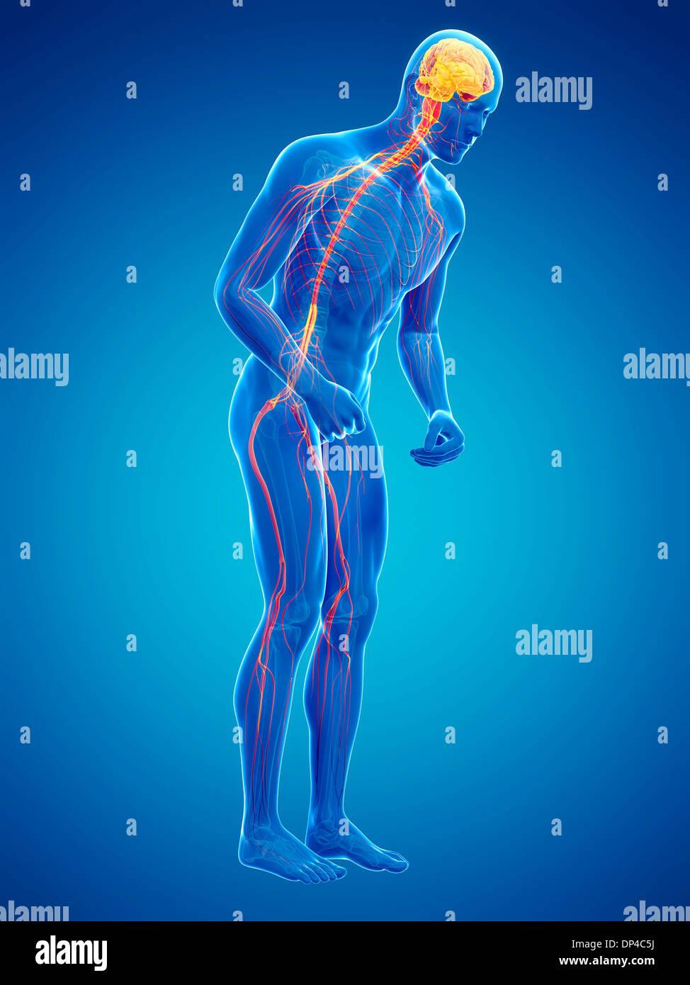 Parkinson disease -Fotos und -Bildmaterial in hoher Auflösung – Alamy