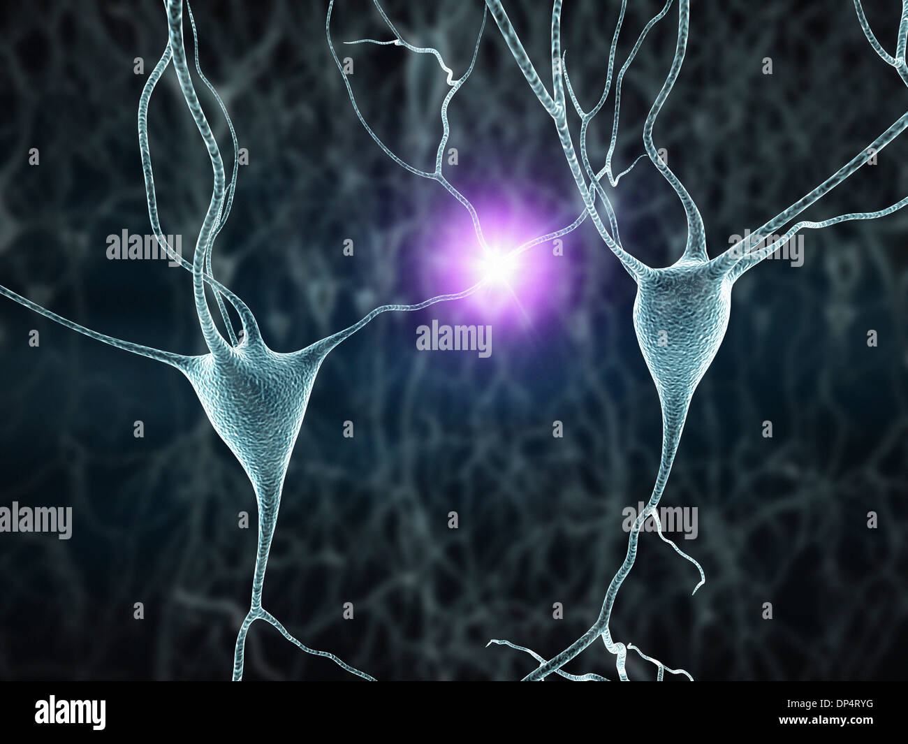Nervenzellen und Synapsen Stockfotos und -bilder Kaufen - Alamy