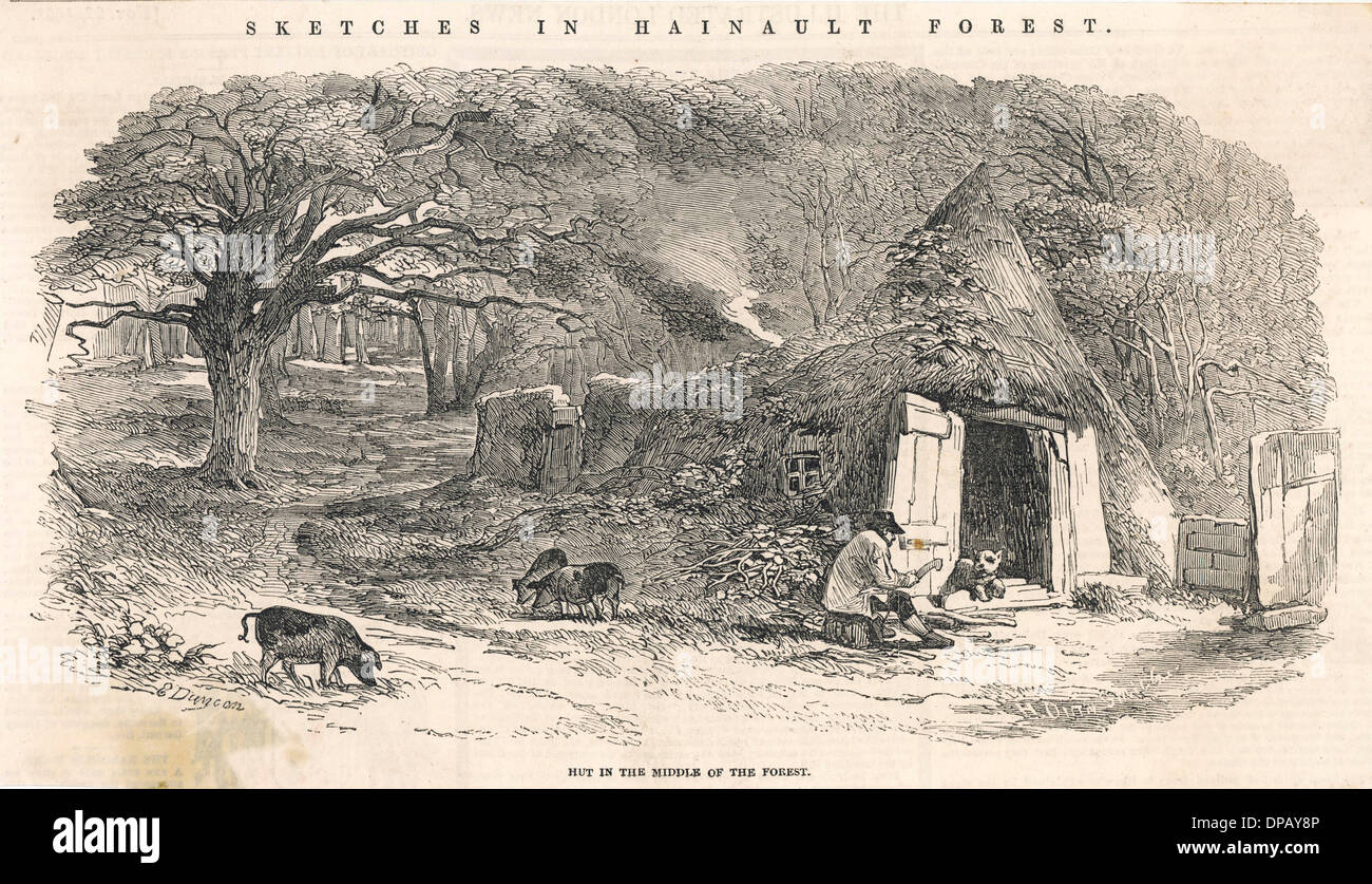 Von hainault -Fotos und -Bildmaterial in hoher Auflösung – Alamy