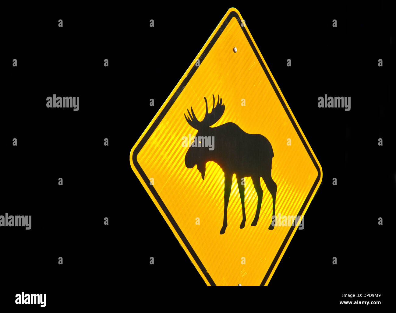 Moose crossing road sign canada -Fotos und -Bildmaterial in hoher ...