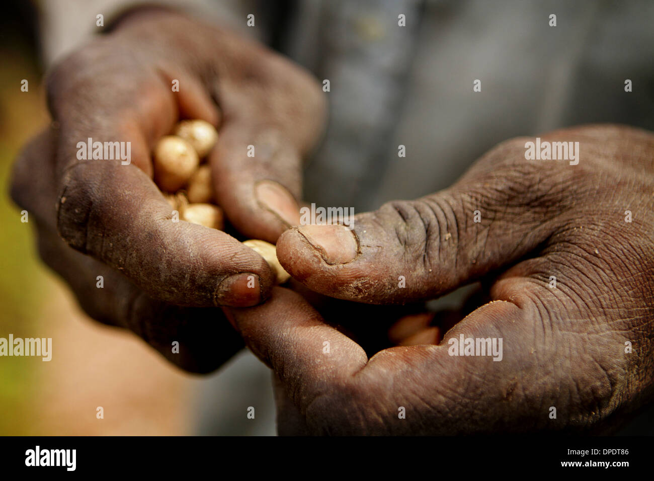 Nuss gemahlen -Fotos und -Bildmaterial in hoher Auflösung – Alamy