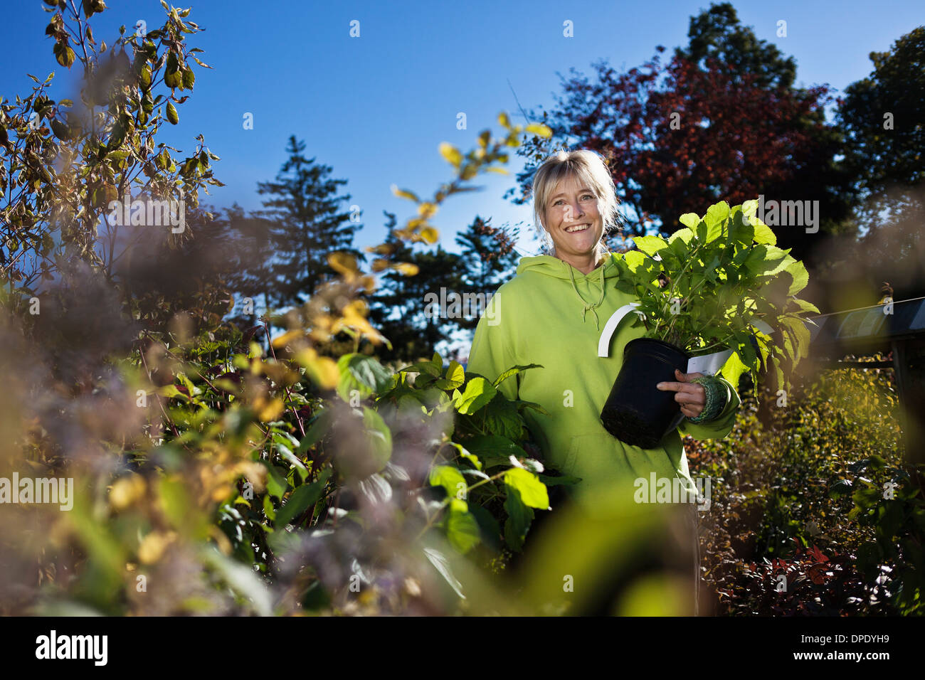 Adult woman gardening -Fotos und -Bildmaterial in hoher Auflösung – Alamy