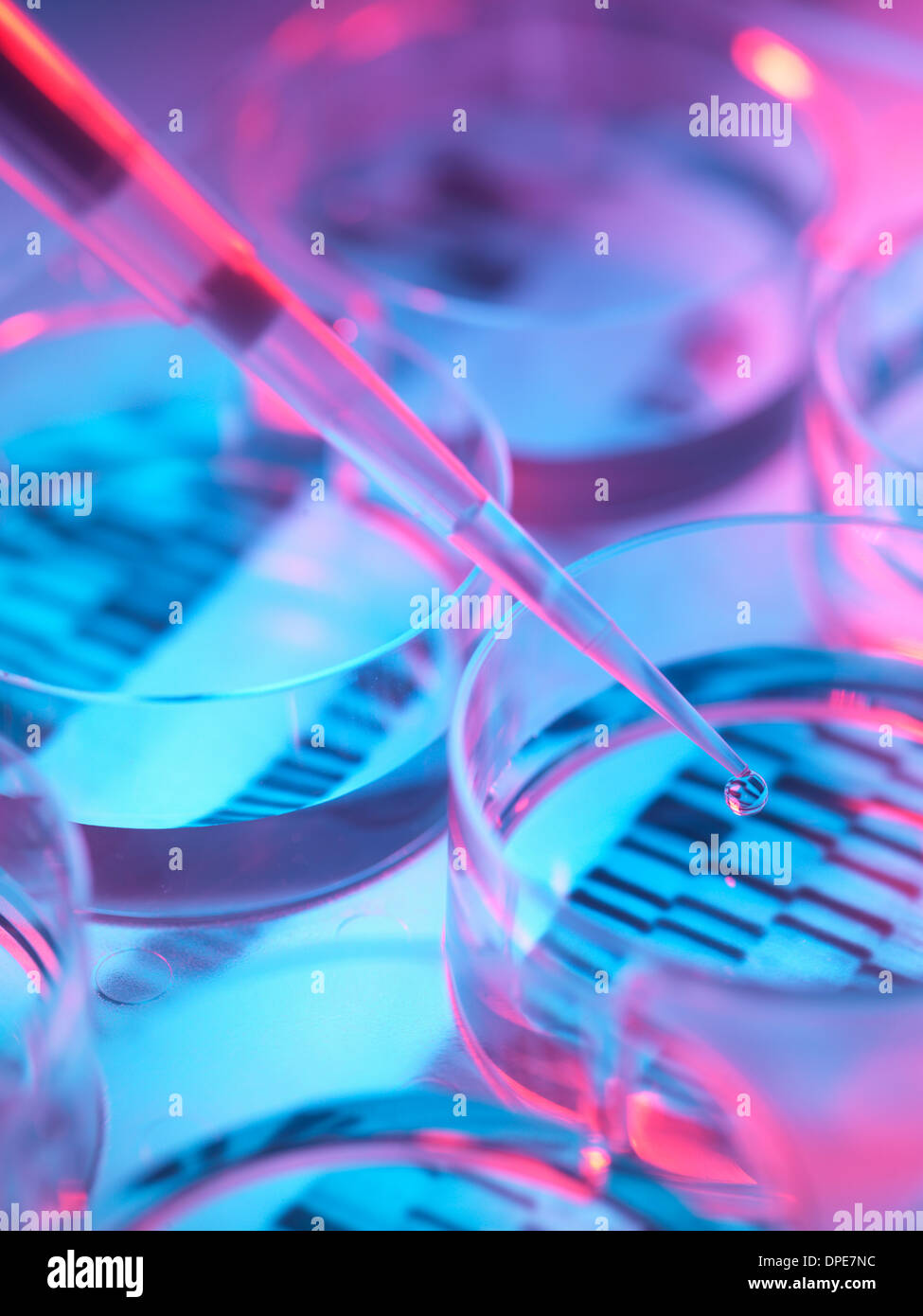 Dna testing -Fotos und -Bildmaterial in hoher Auflösung – Alamy