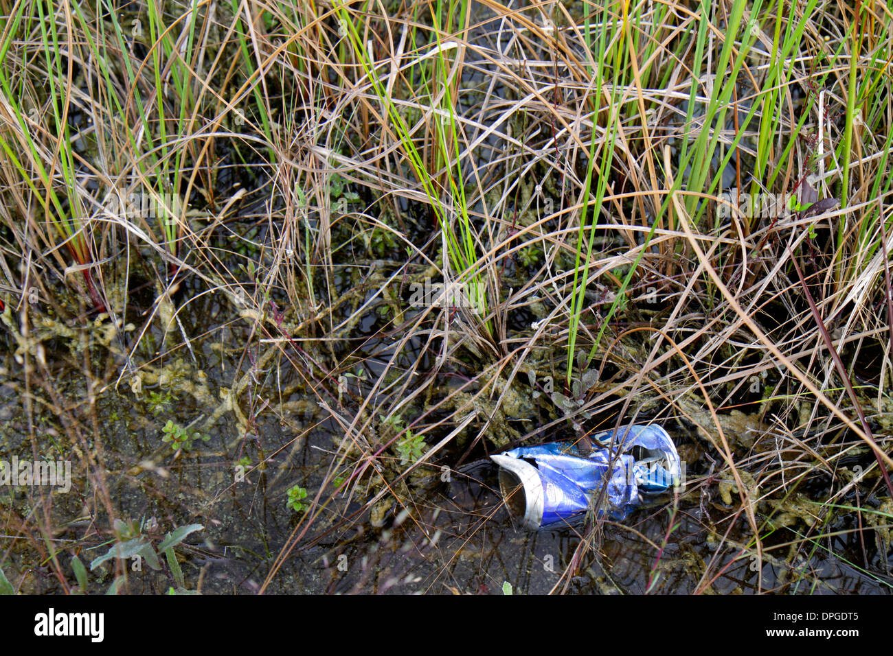 Freshwater pollution -Fotos und -Bildmaterial in hoher Auflösung – Alamy