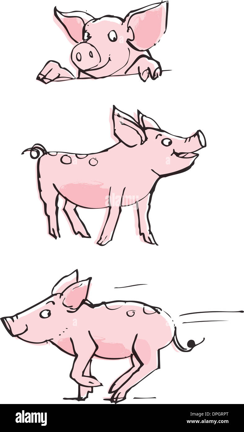 Pig white background side view -Fotos und -Bildmaterial in hoher ...