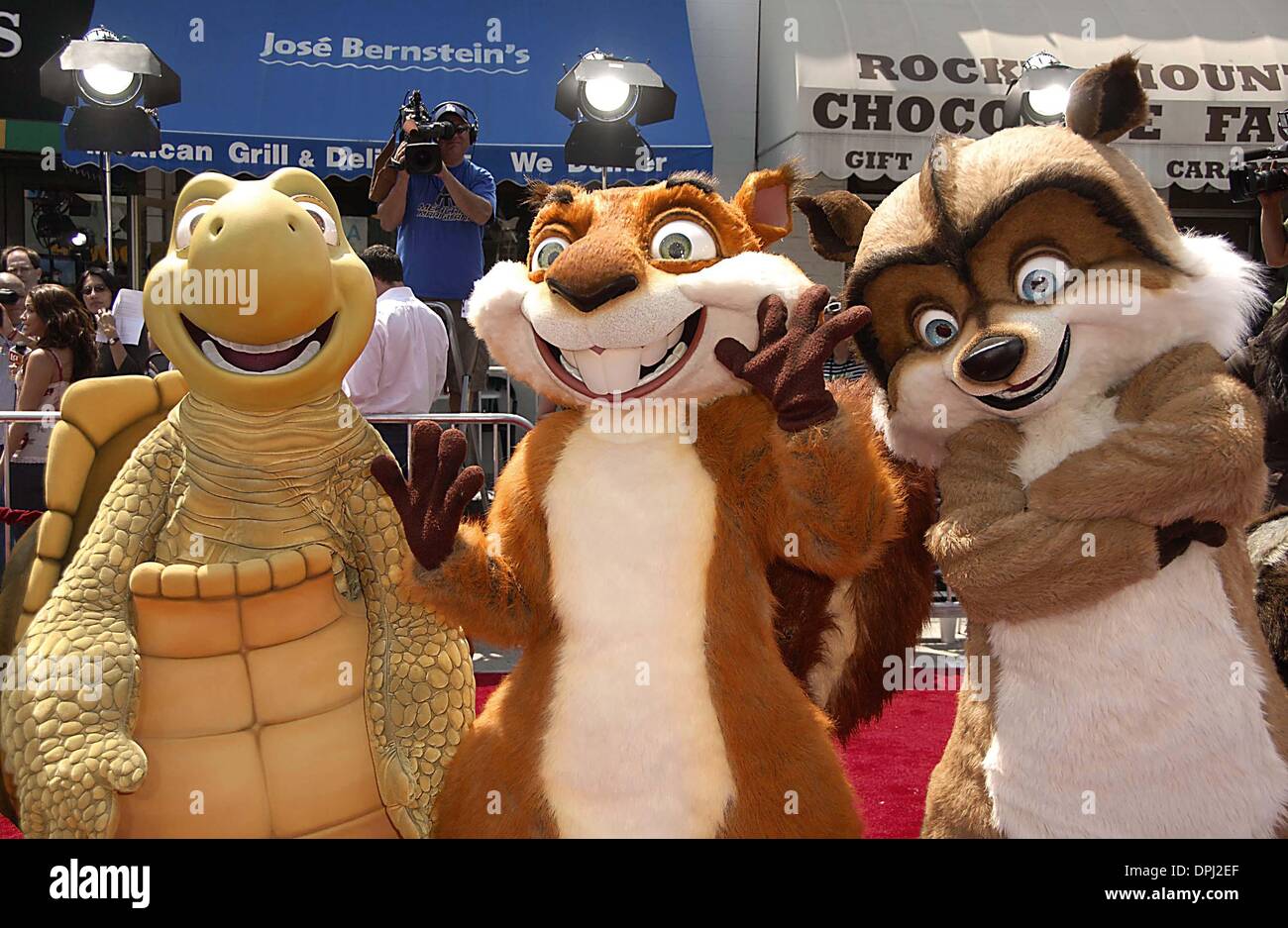 Hammy over the hedge -Fotos und -Bildmaterial in hoher Auflösung – Alamy