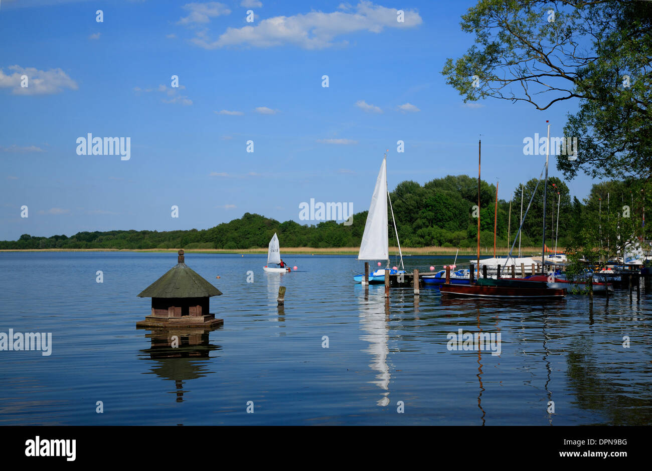 Schone Badesee Schleswig Holstein Bild