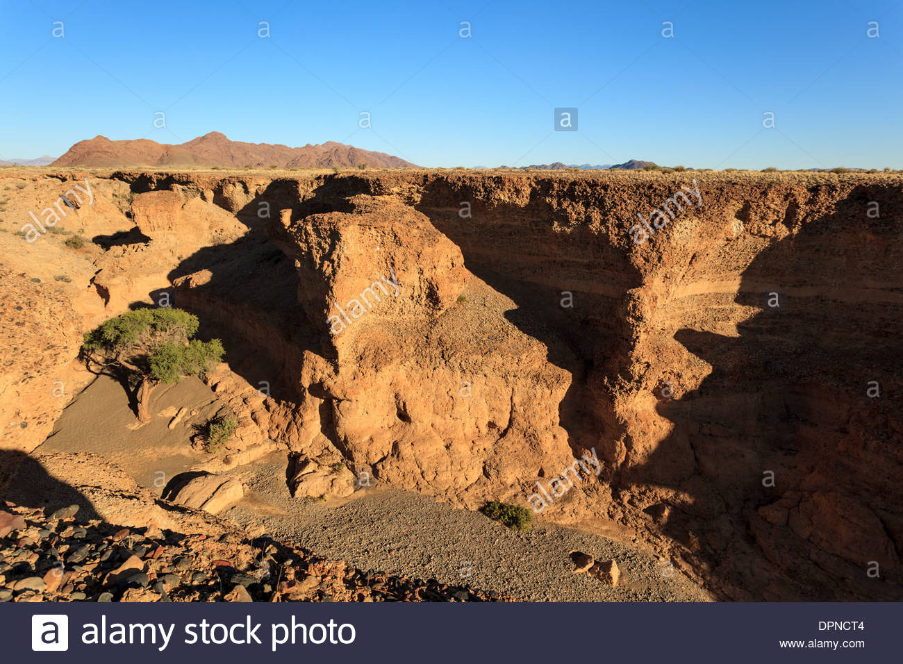Antenne Plateau Blick auf kleine Oase mit einzelnen Baum zwischen ...