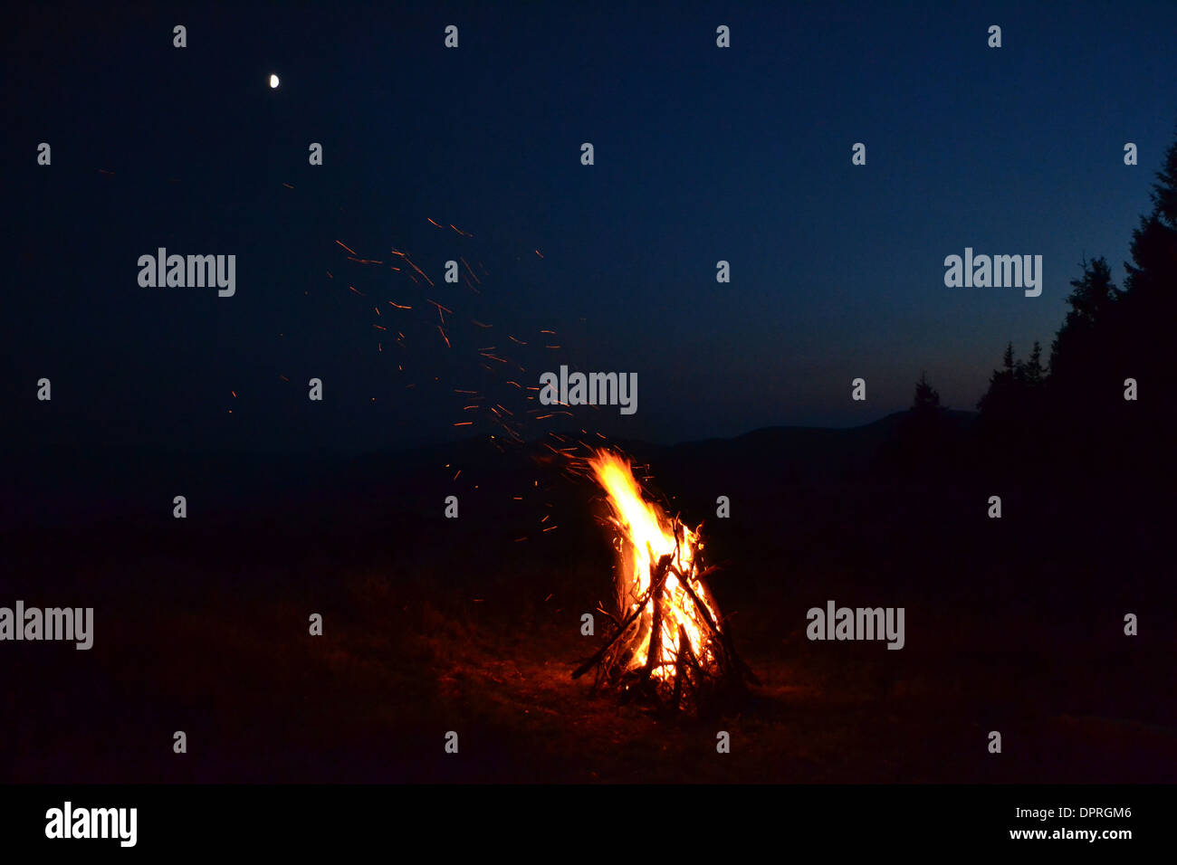 Baum V Stockfotos und -bilder Kaufen - Alamy
