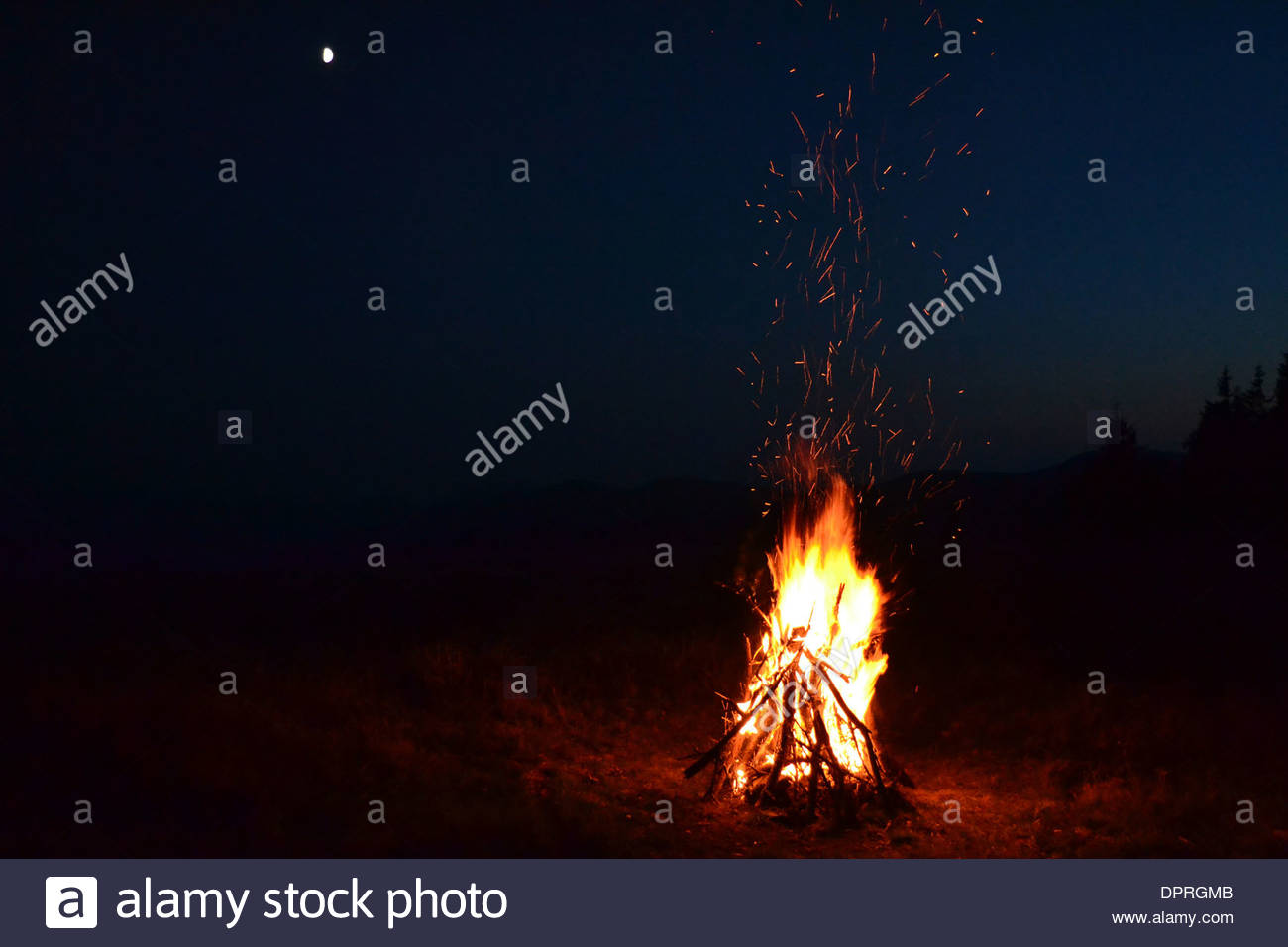 Baum V Stockfotos und -bilder Kaufen - Alamy