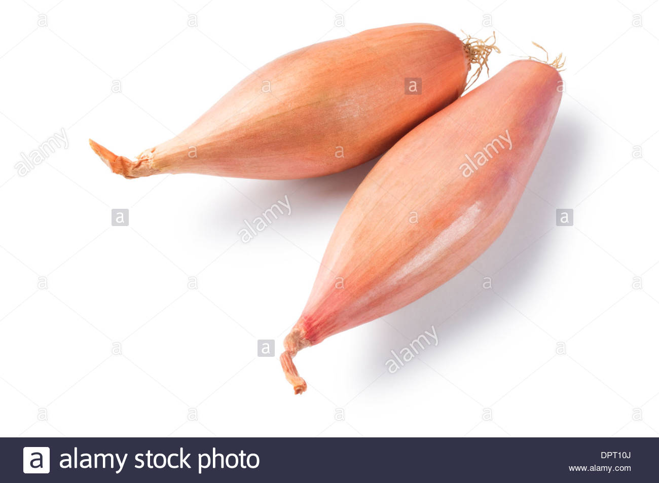 Zwiebeln Schalotten Stockfotos und -bilder Kaufen - Alamy