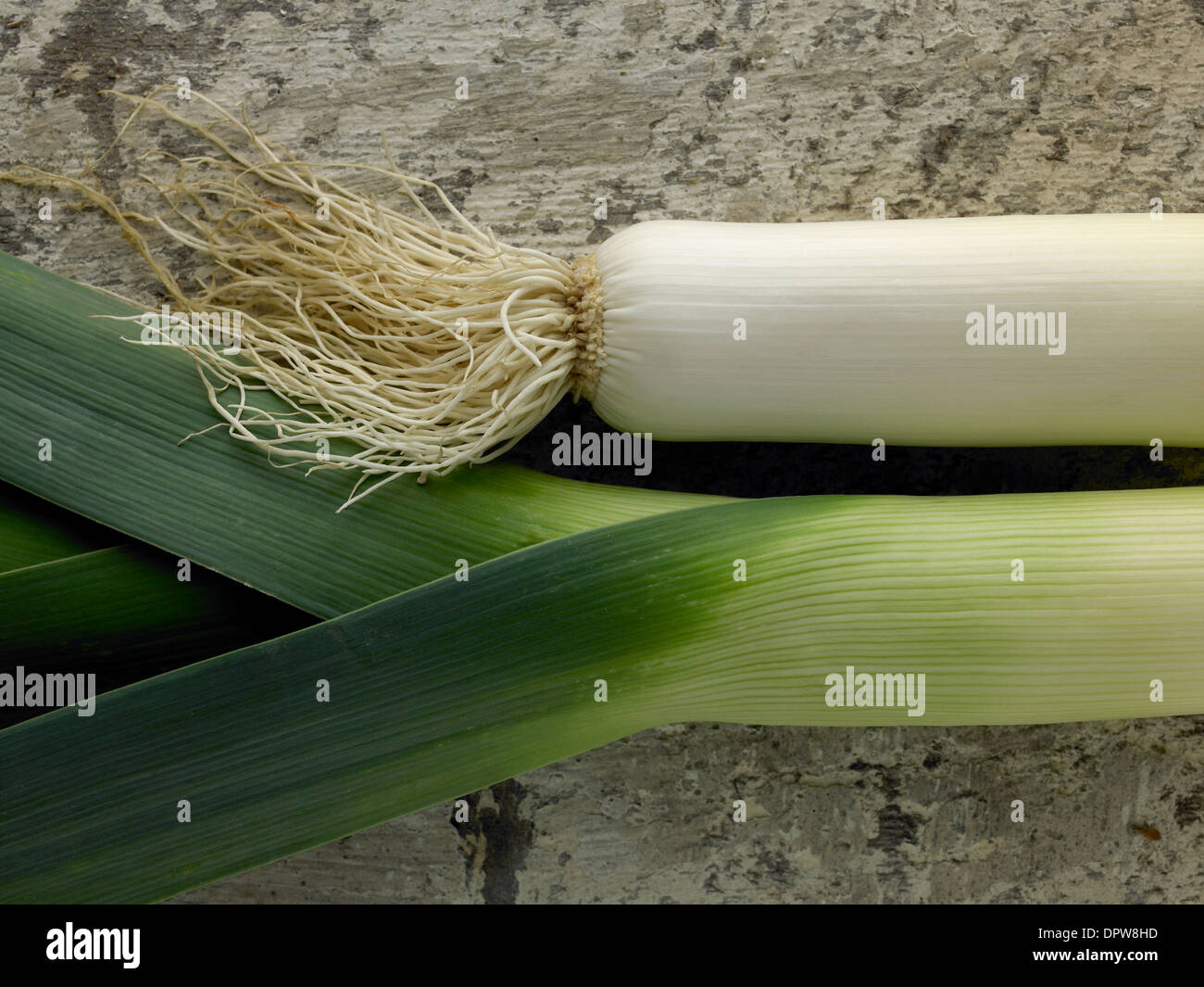 Der walisische lauch -Fotos und -Bildmaterial in hoher Auflösung – Alamy