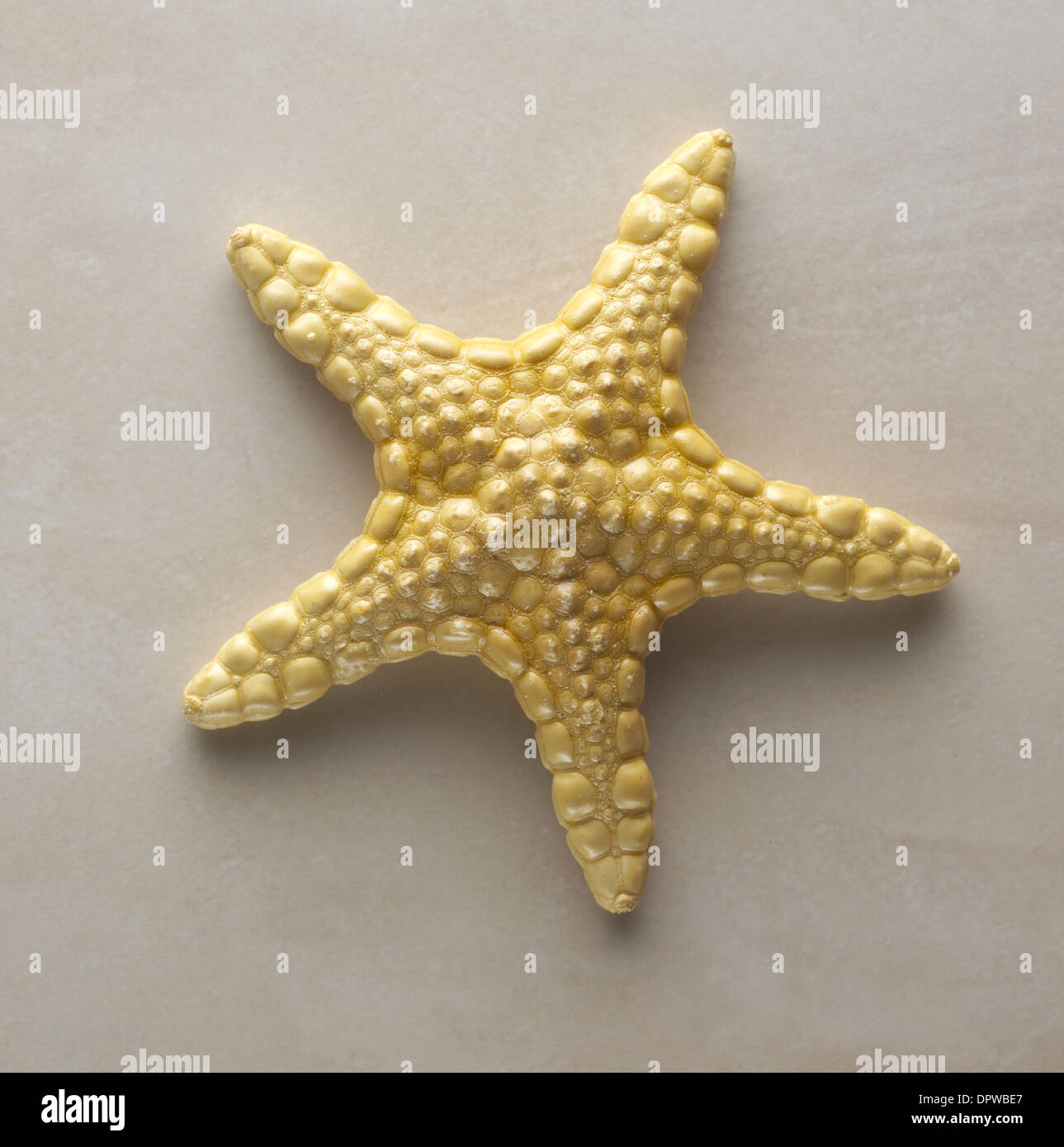 Invertebrati marini -Fotos und -Bildmaterial in hoher Auflösung – Alamy