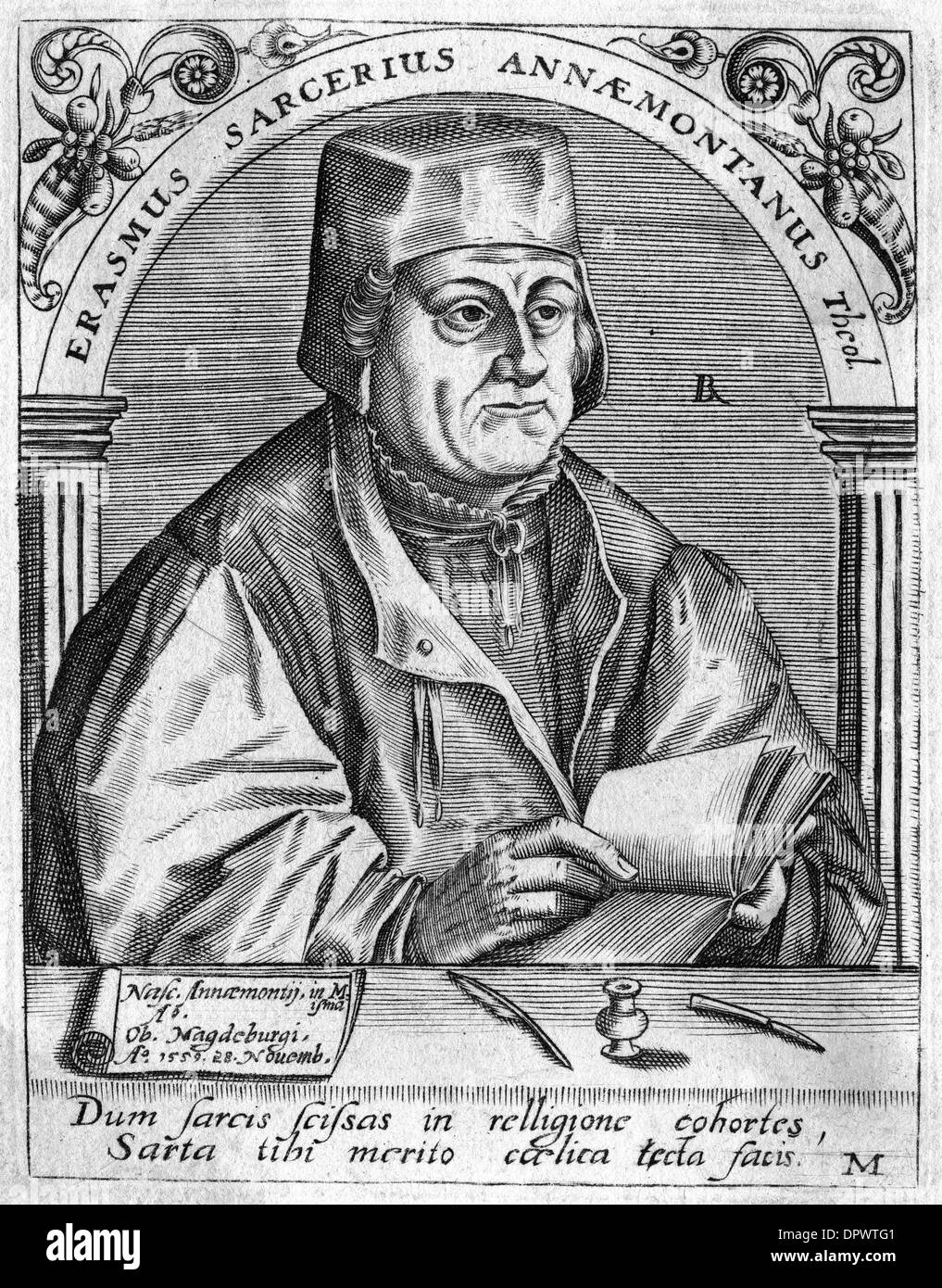 Erasmus sarcerius -Fotos und -Bildmaterial in hoher Auflösung – Alamy