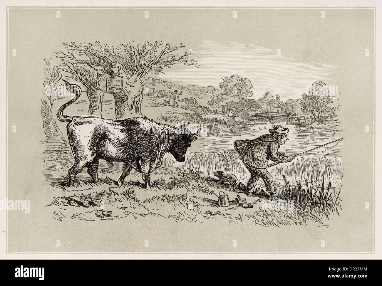 Klassischer stier -Fotos und -Bildmaterial in hoher Auflösung – Alamy