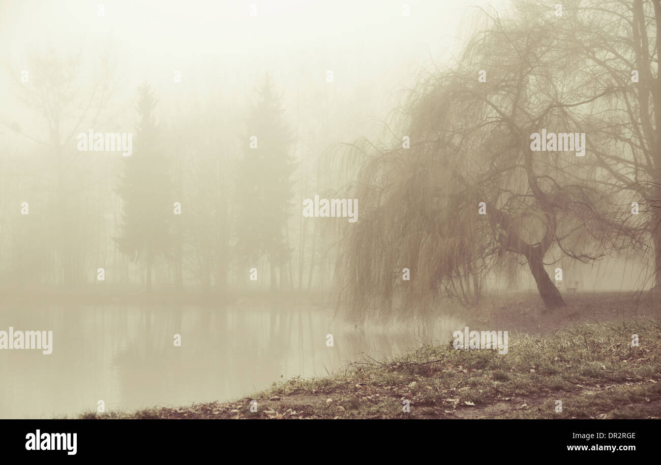 Peaceful area -Fotos und -Bildmaterial in hoher Auflösung – Alamy