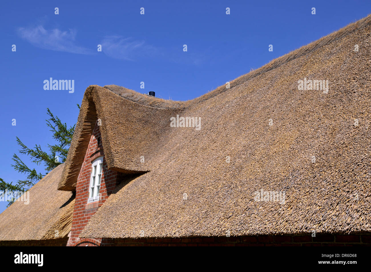 Sylt keitum reetdachhäuser -Fotos und -Bildmaterial in hoher Auflösung ...