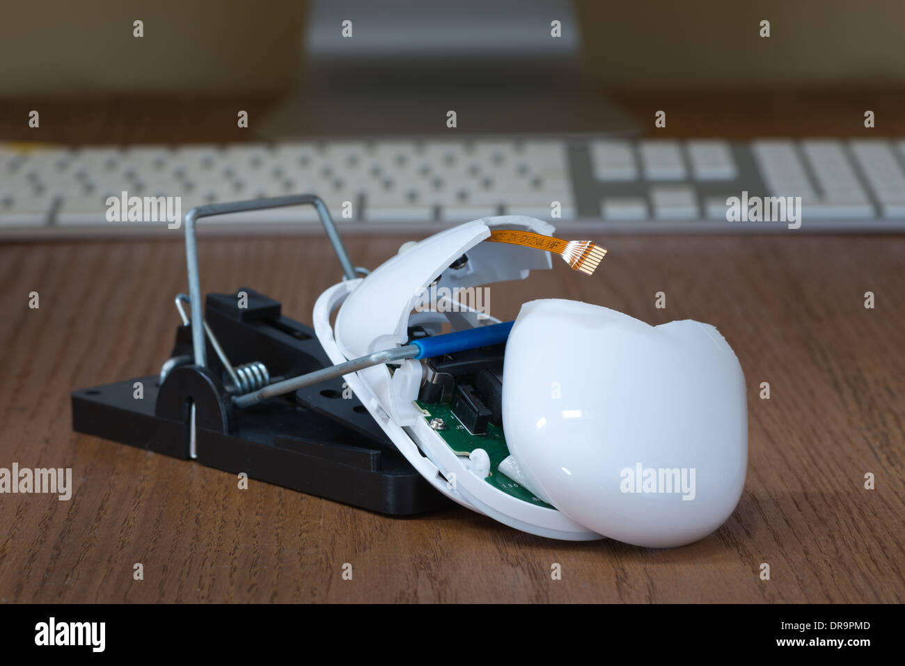 Computer-Maus gefangen und gebrochen in zwei in einer Mausefalle ...