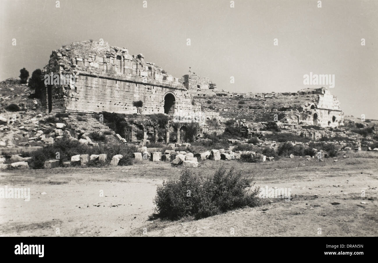 Miletus truthahn -Fotos und -Bildmaterial in hoher Auflösung – Alamy