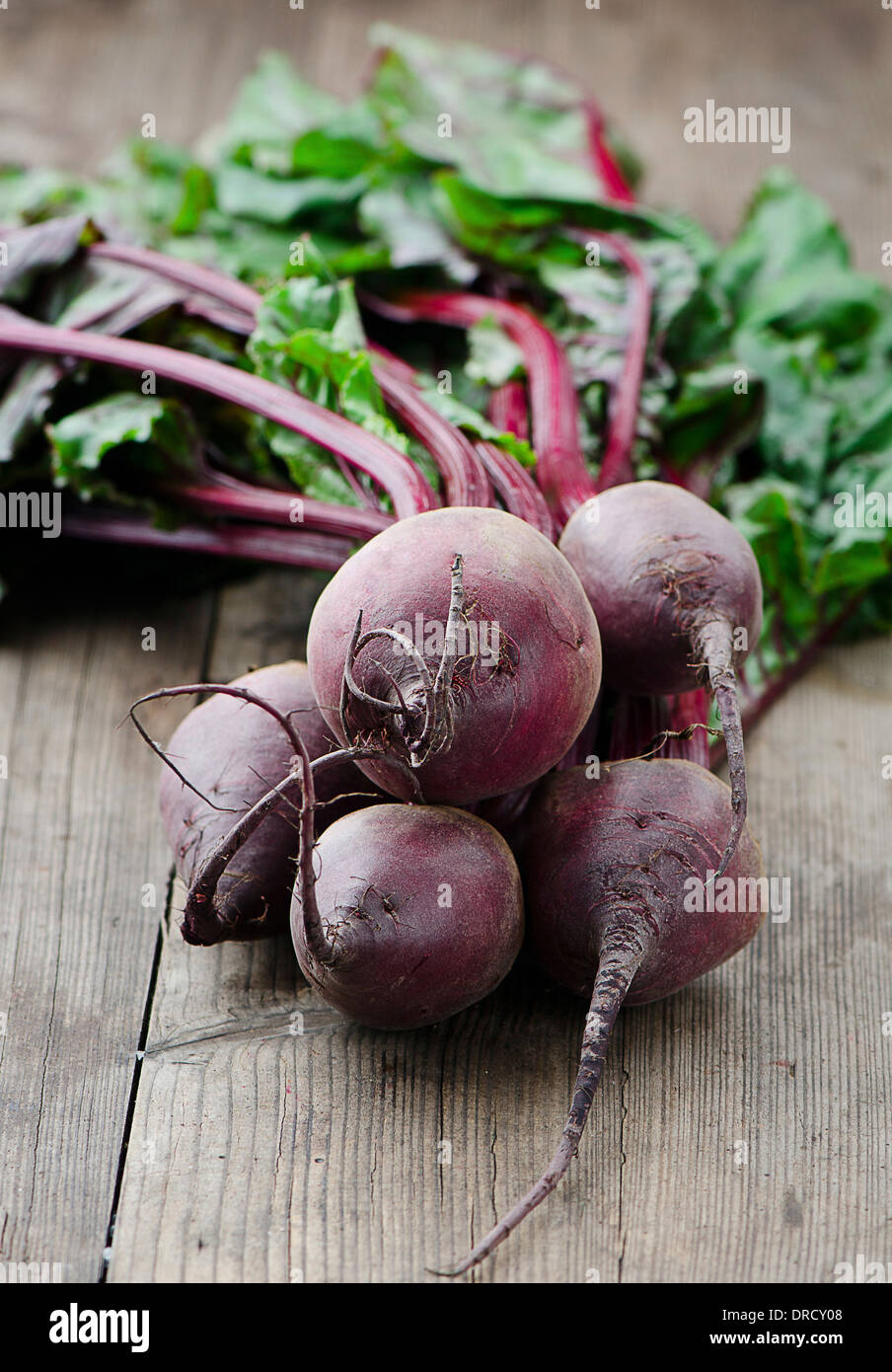 Rote bete -Fotos und -Bildmaterial in hoher Auflösung – Alamy
