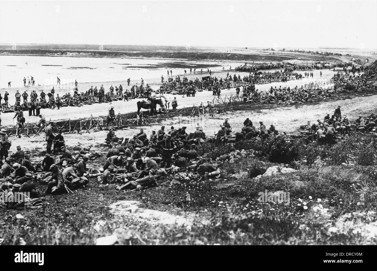 German infantry eastern front -Fotos und -Bildmaterial in hoher ...