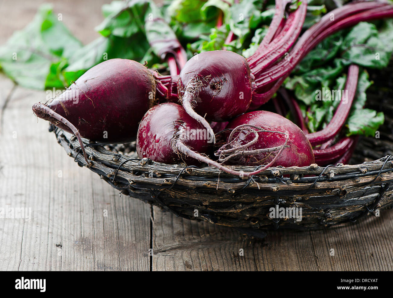 Rote beete -Fotos und -Bildmaterial in hoher Auflösung – Alamy
