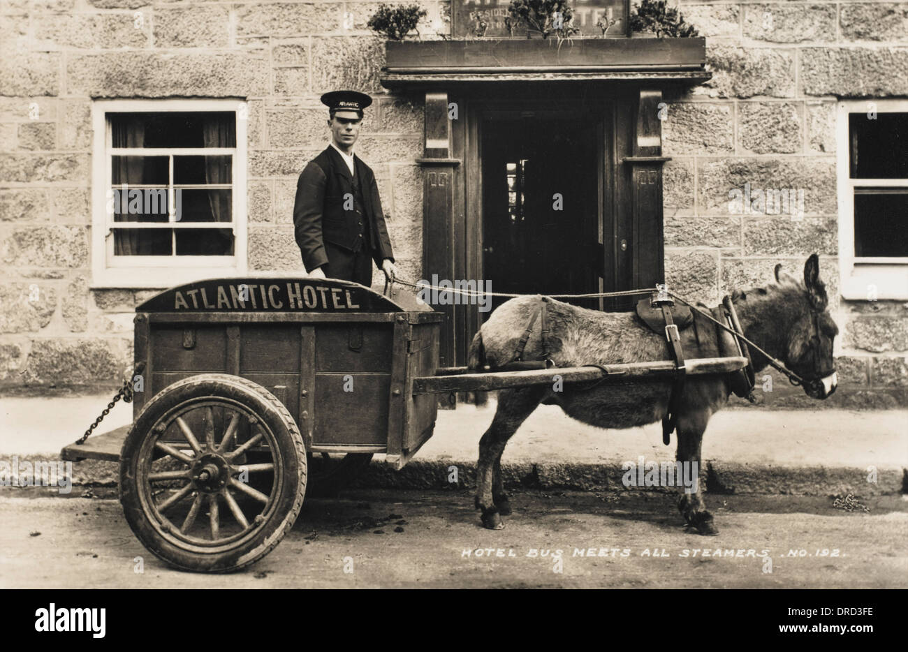 Ein esel gezogen -Fotos und -Bildmaterial in hoher Auflösung – Alamy