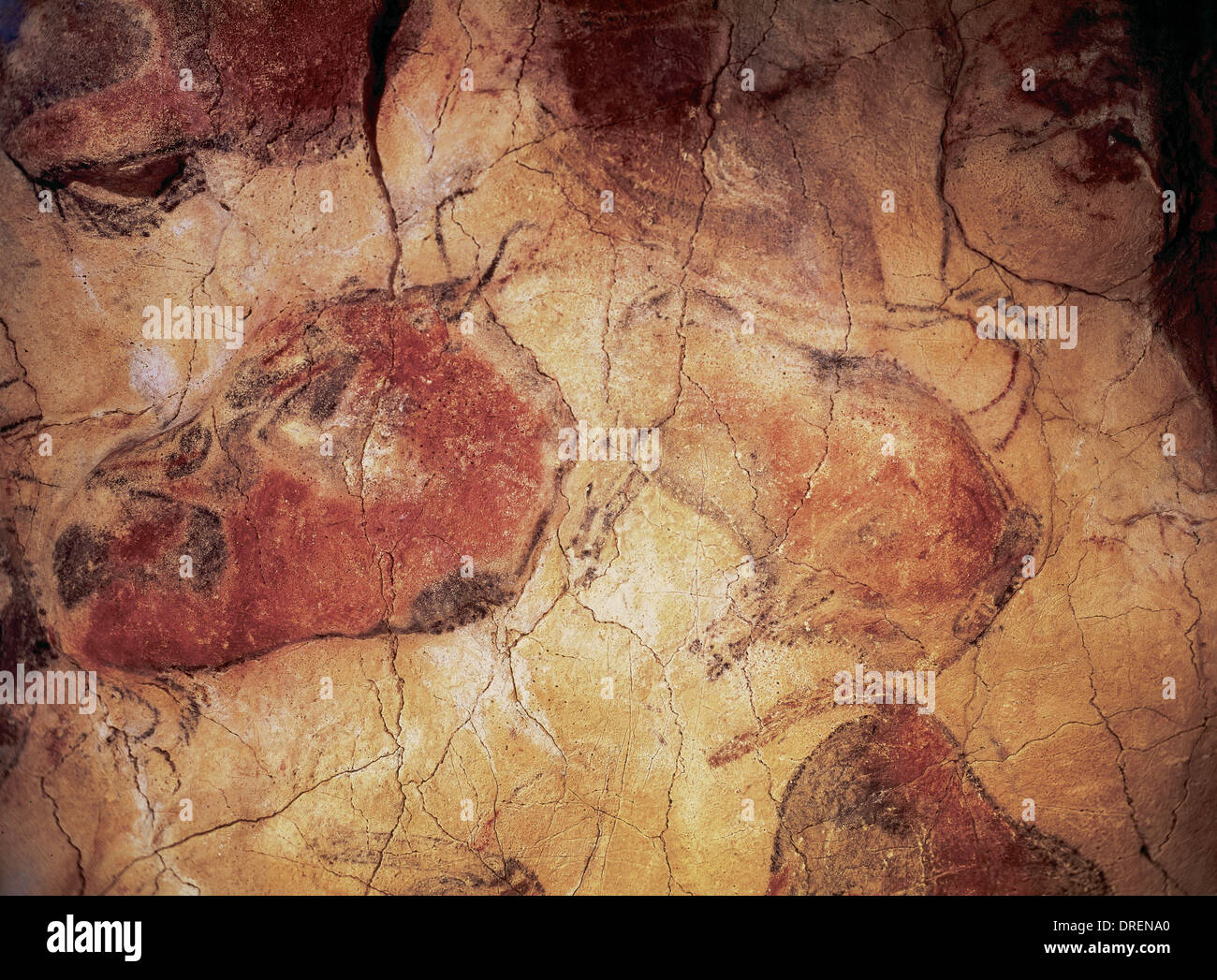 Steinzeit höhlenmalerei -Fotos und -Bildmaterial in hoher Auflösung – Alamy