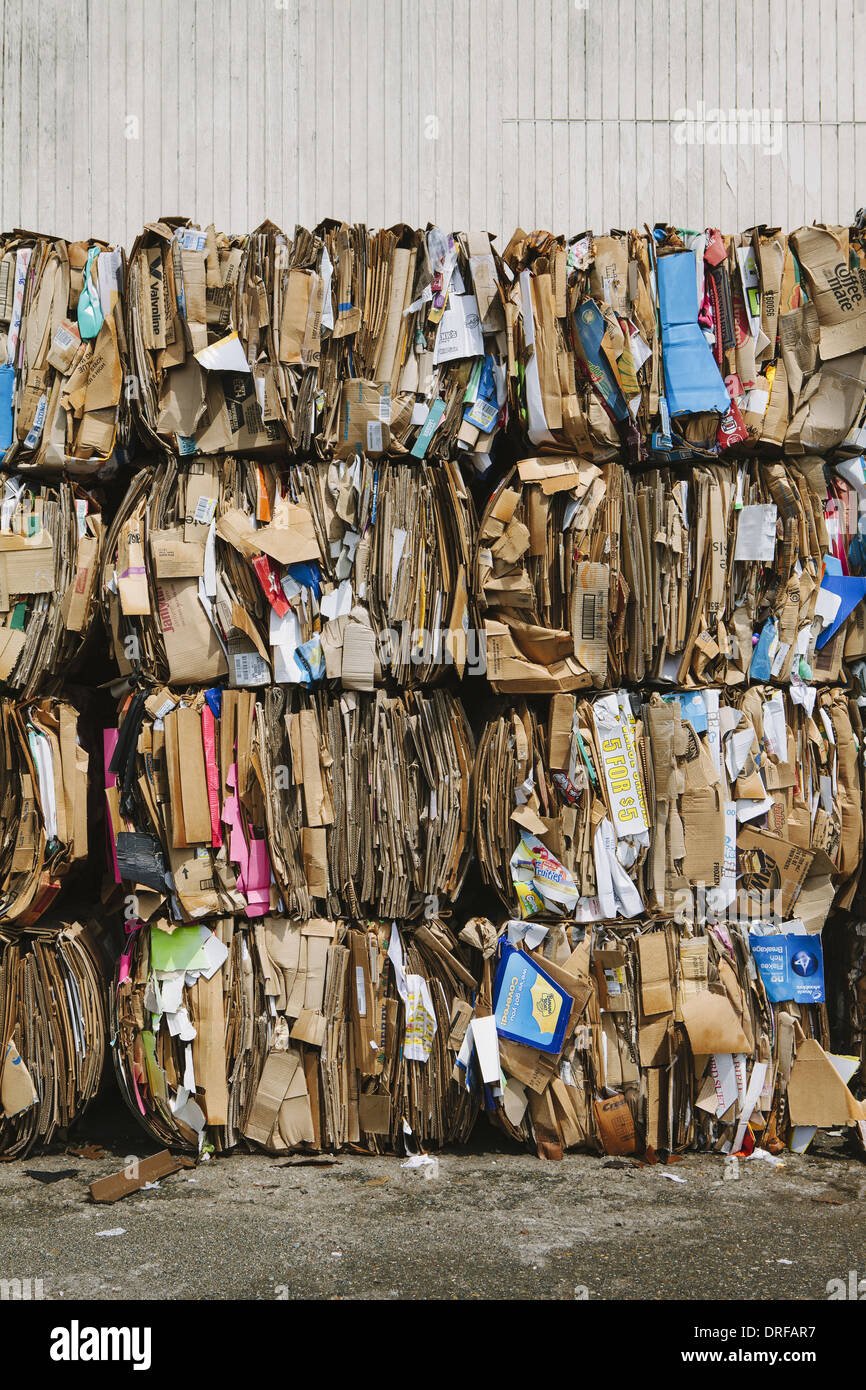 Washington State USA Recycling Anlage bündelt Pappe sortiert ...