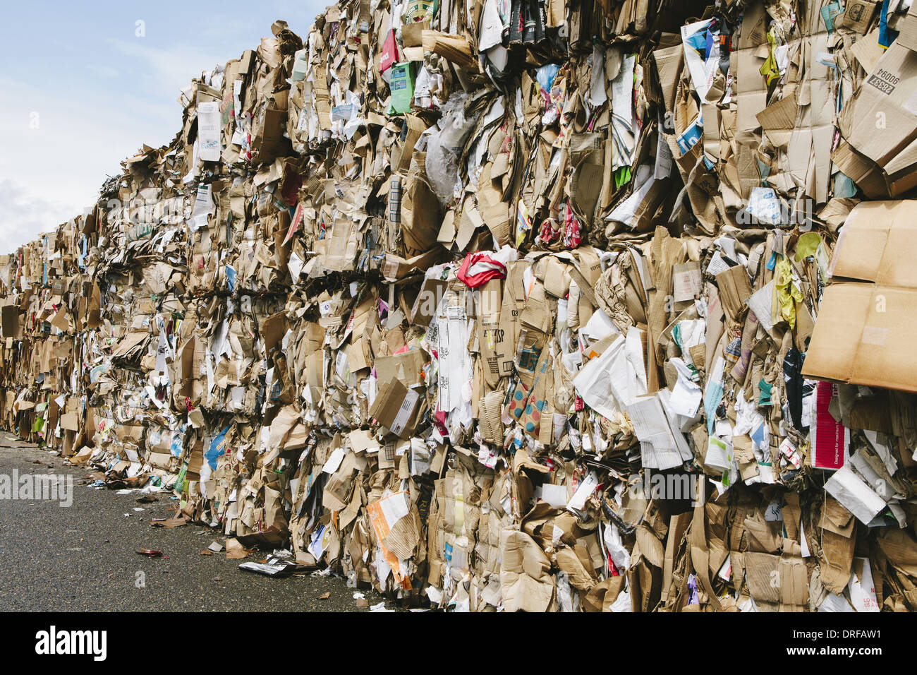 Washington State USA Recycling Anlage bündelt Pappe sortiert ...