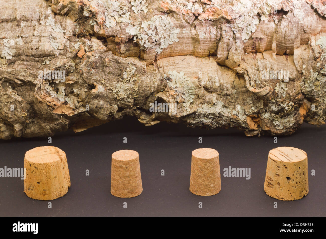 Verschiedene Kork Kappen mit Rinde der Korkeiche im Hintergrund ...