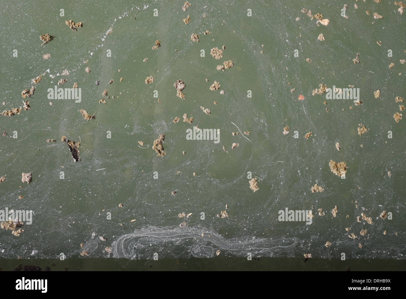 Water scum -Fotos und -Bildmaterial in hoher Auflösung – Alamy