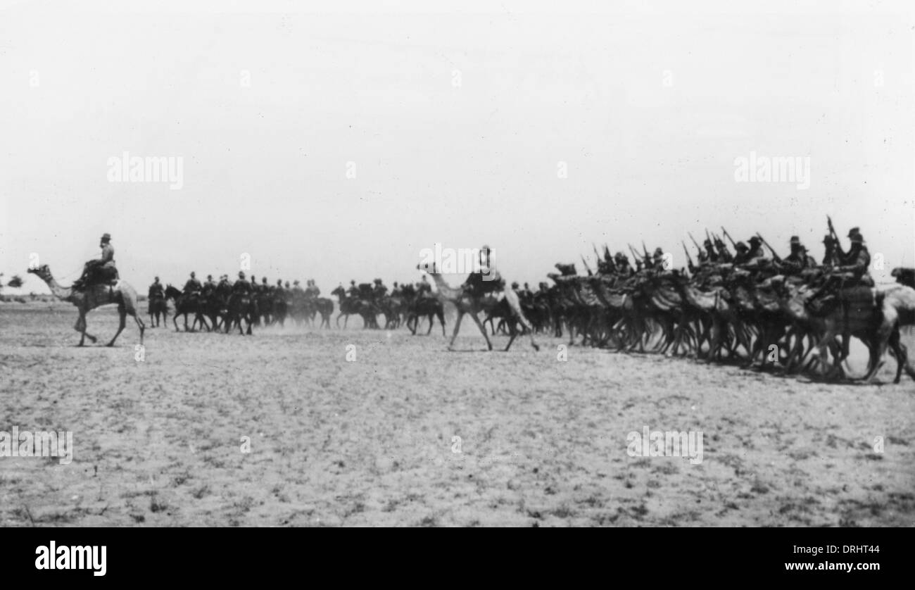 Australische Camel Corps in Wüste, Ostfront, WW1 Stockfotografie - Alamy