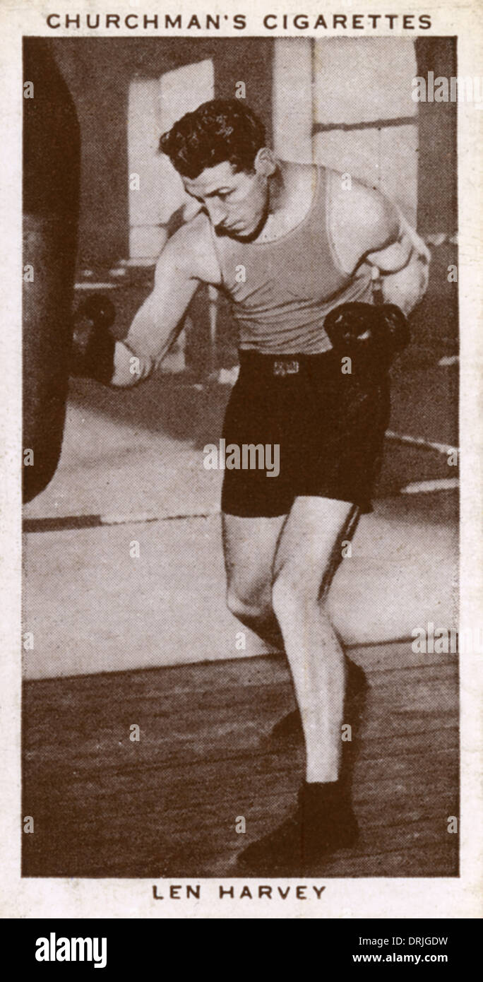 Englischer Boxer Stockfotos und -bilder Kaufen - Alamy