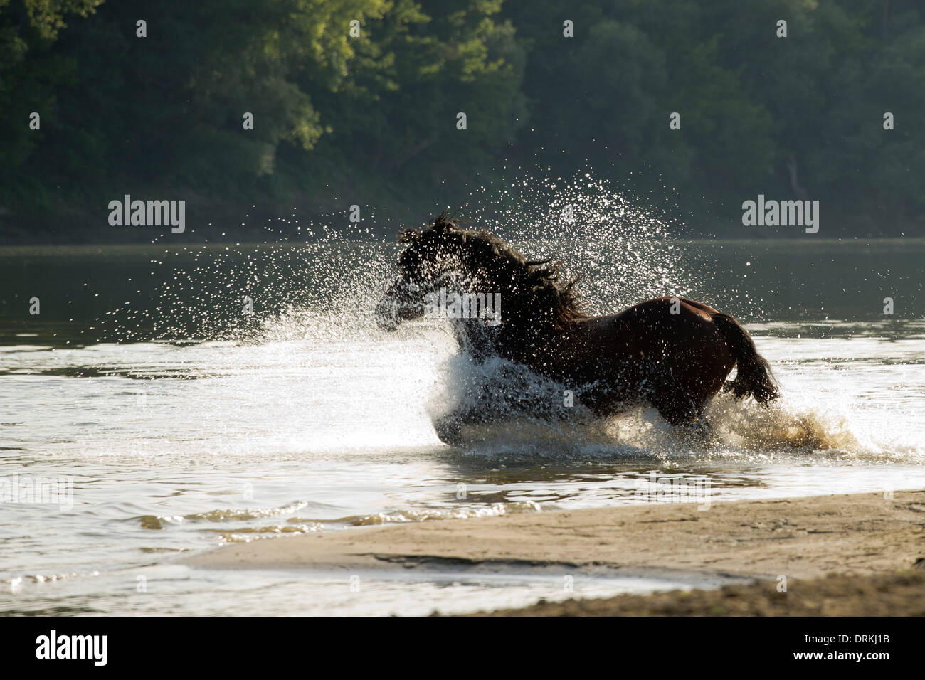 Seltenes tier -Fotos und -Bildmaterial in hoher Auflösung – Alamy