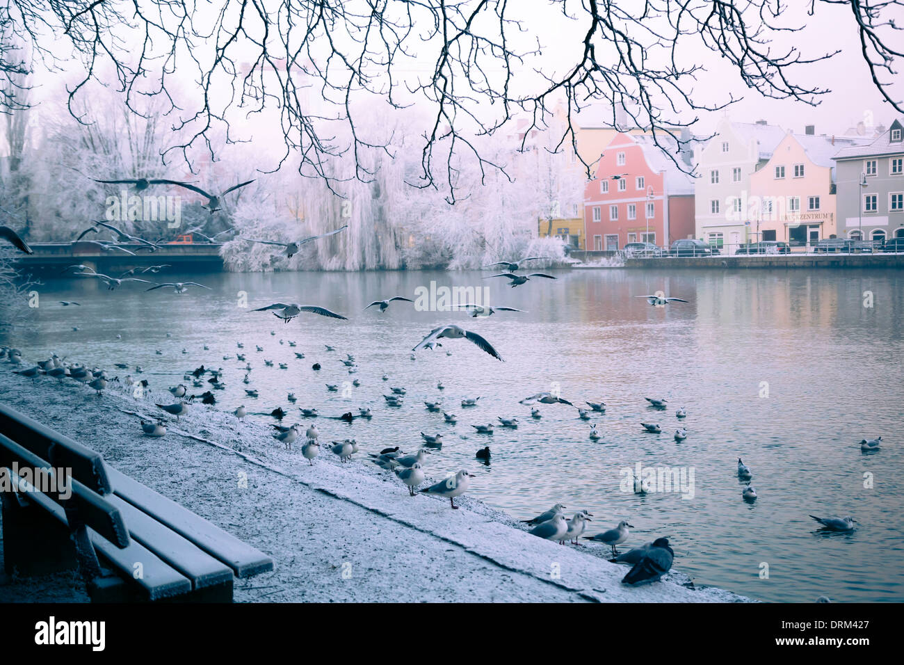 Isar promenade -Fotos und -Bildmaterial in hoher Auflösung – Alamy