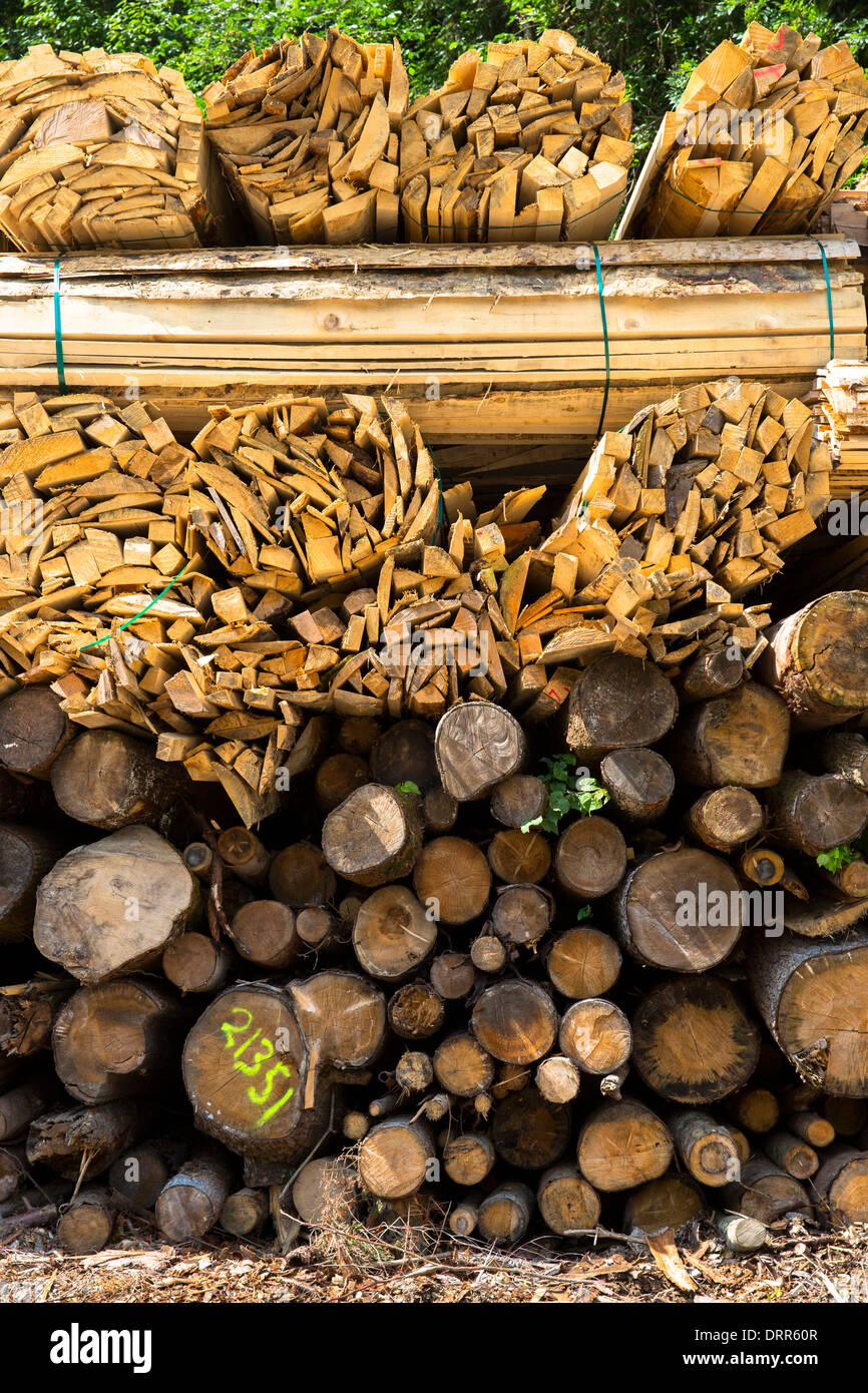 Holzbohlen und Protokolle gestapelt zu trockenes Holz in Interlaken im ...