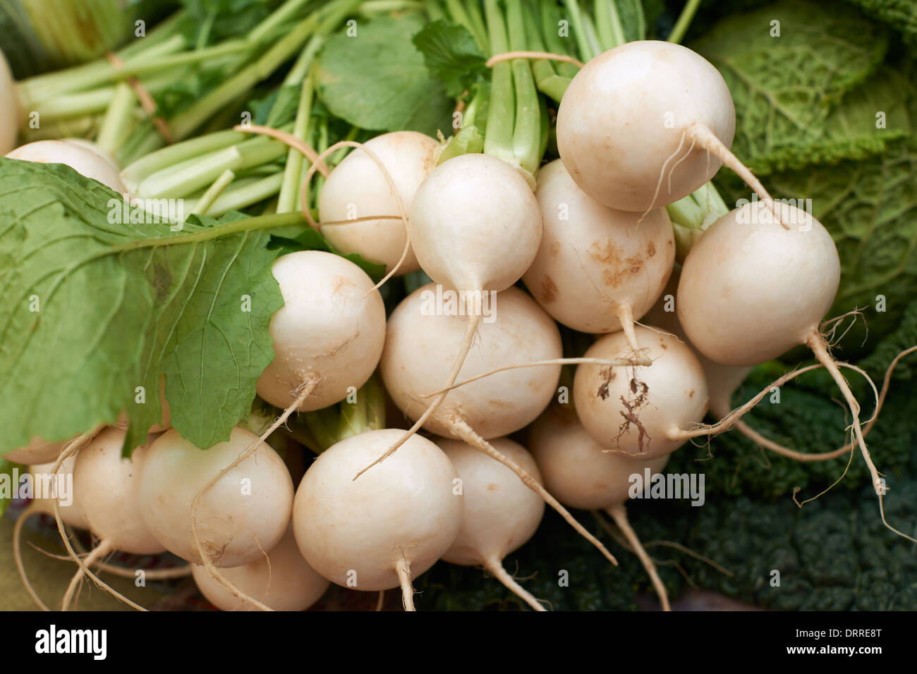 Frische weiße Rübe Gemüse zum Verkauf auf Markt der Provence von ...