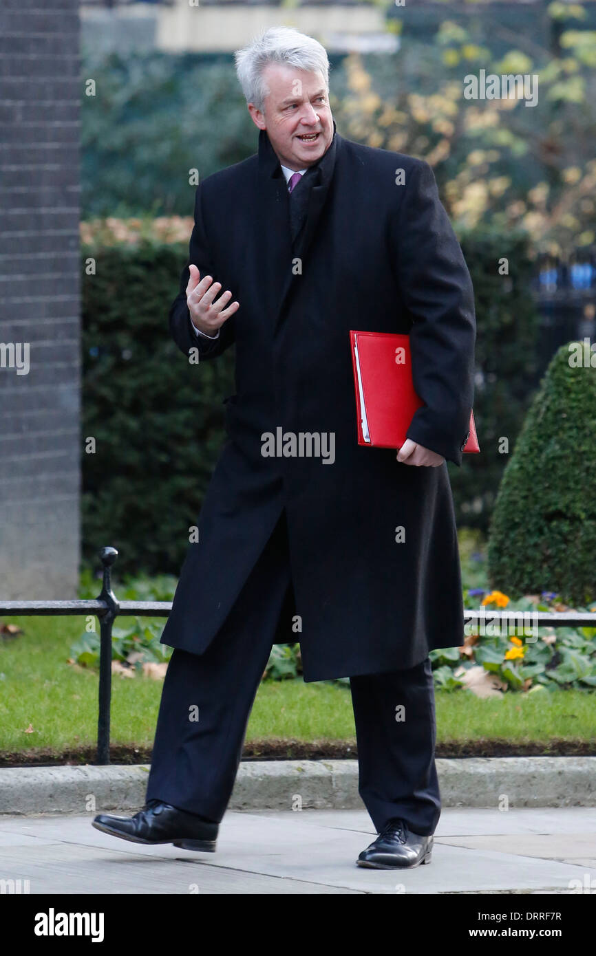 Leader of the house -Fotos und -Bildmaterial in hoher Auflösung – Alamy