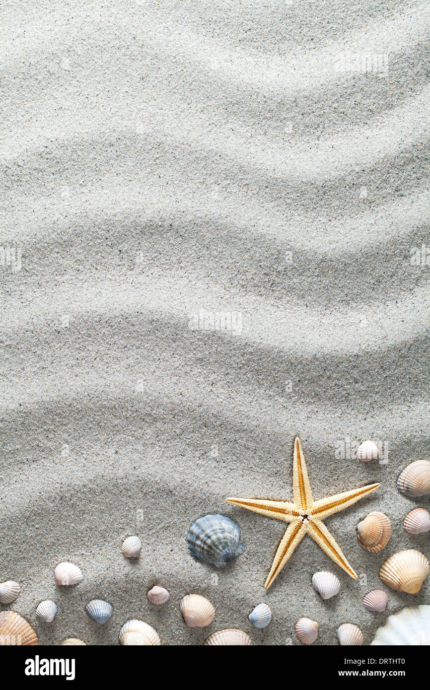 Sandstrand mit muscheln -Fotos und -Bildmaterial in hoher Auflösung – Alamy