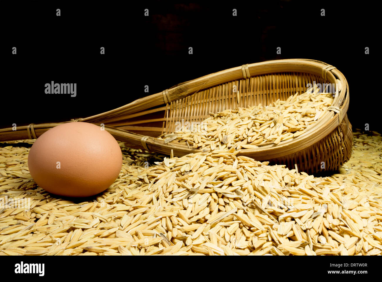 Reis trocken -Fotos und -Bildmaterial in hoher Auflösung – Alamy