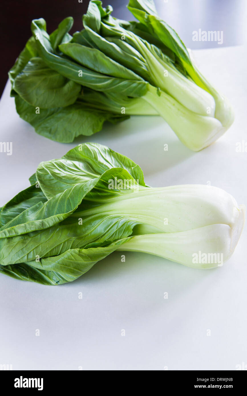 Kopf von bok -Fotos und -Bildmaterial in hoher Auflösung – Alamy