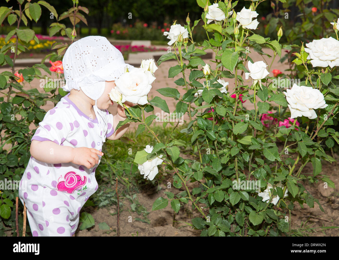 Lachende blume -Fotos und -Bildmaterial in hoher Auflösung – Alamy