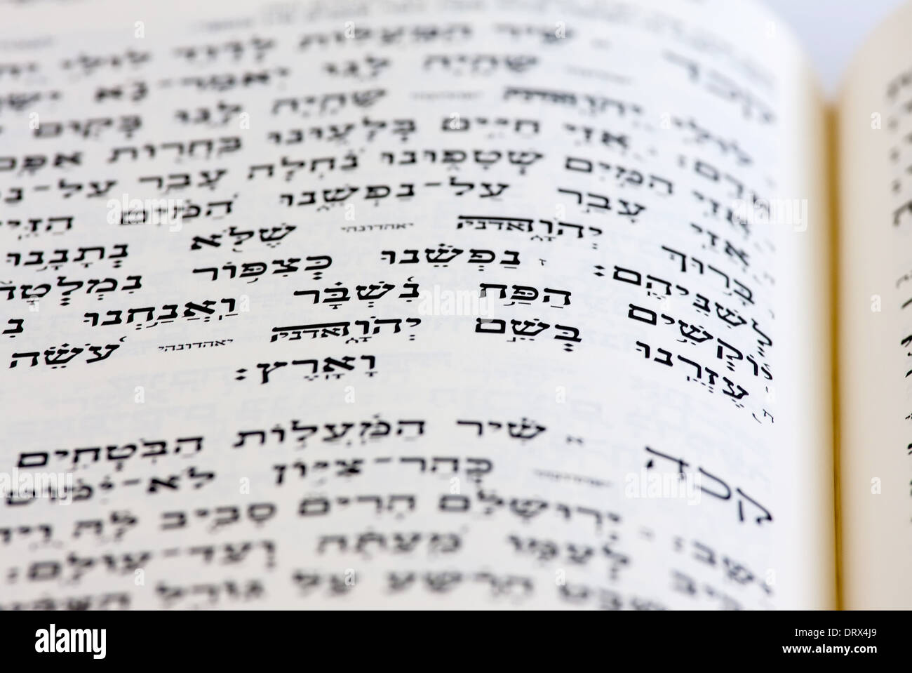 Hebrew Bible Text Stockfotos & Hebrew Bible Text Bilder - Alamy