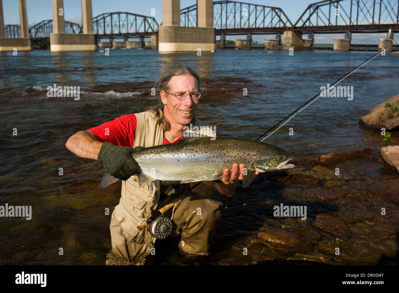 Atlantic angler fish -Fotos und -Bildmaterial in hoher Auflösung – Alamy