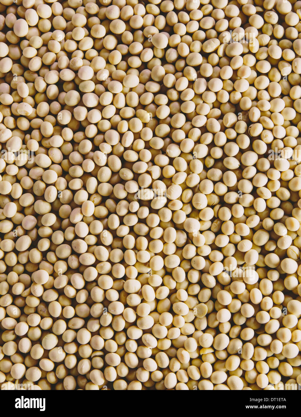 Kleine bohnen -Fotos und -Bildmaterial in hoher Auflösung – Alamy