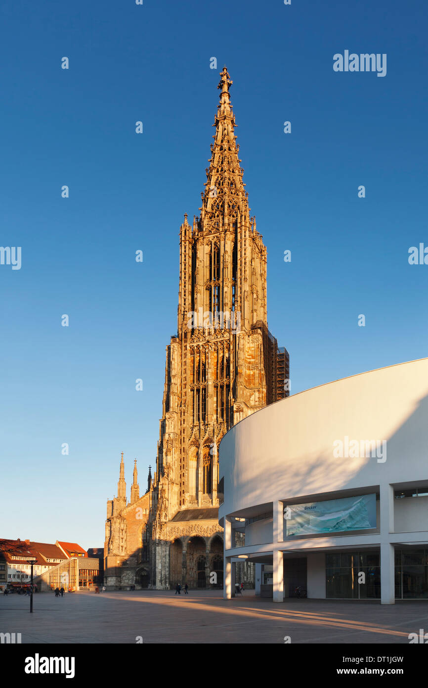 Ulmer Münster (Münster) und Stadthaus Galerie, Ulm, Baden-Württemberg ...