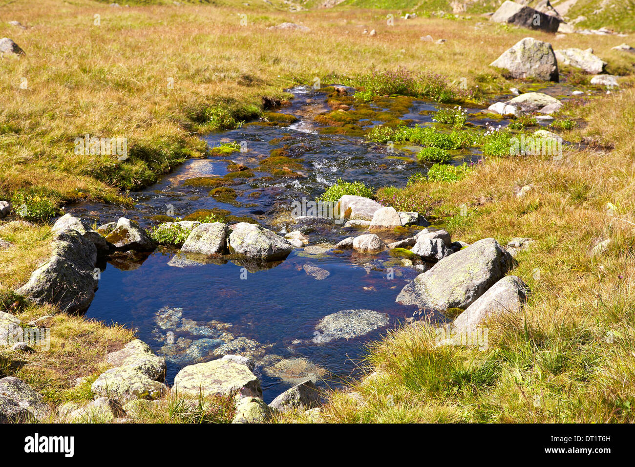 Bach bach quelle Stockfotos und -bilder Kaufen - Alamy